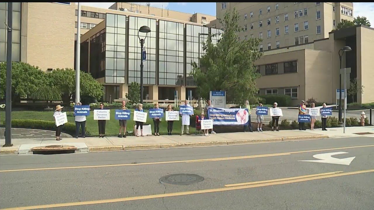 Group protests live pig surgery training connected to Mercy Health ...