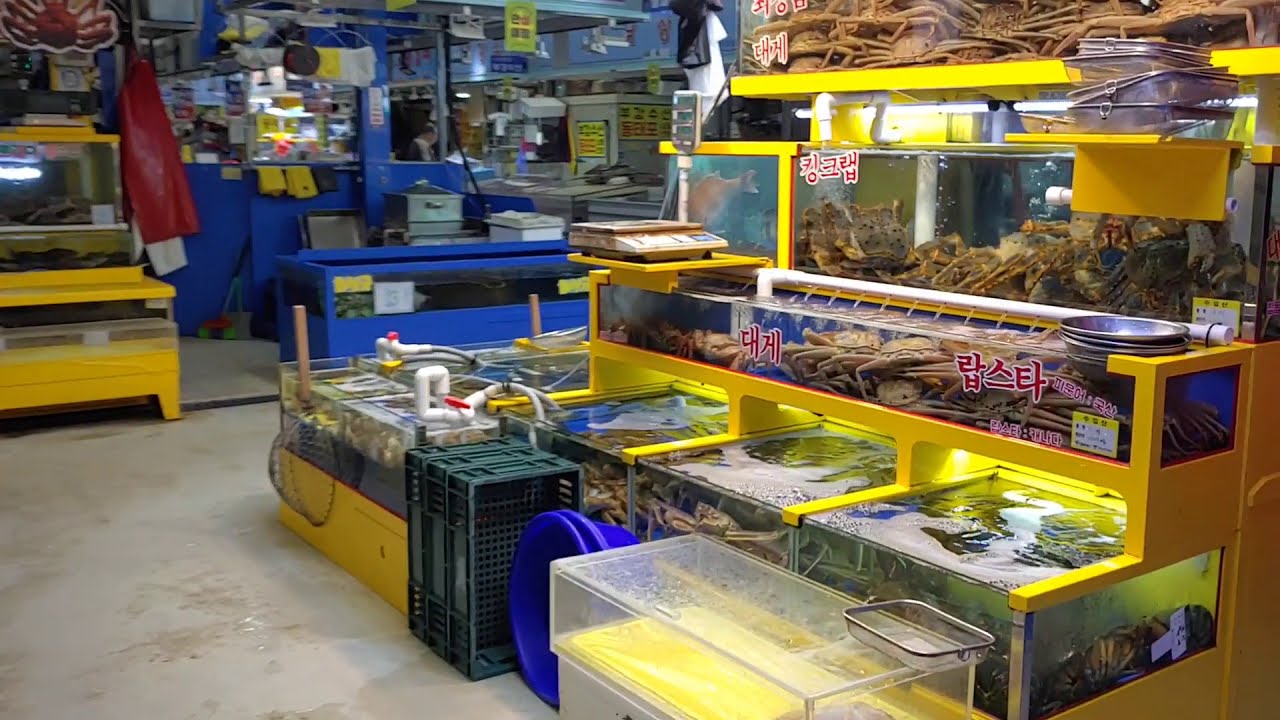 Walk through Garak Market in the early morning of spring day in Seoul ...