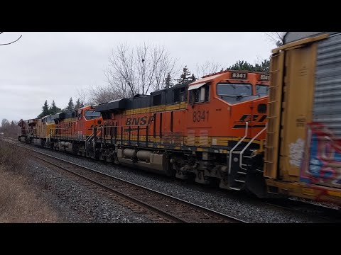 Union Pacific! BNSF Duo! CPKC 137 West at Cooksville - YouTube