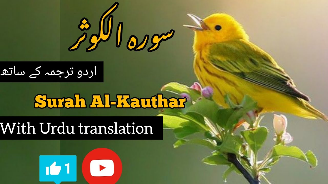 recitation|tilawet of Surah Al-kauther 108 Surah Al-Kauthar: A ...