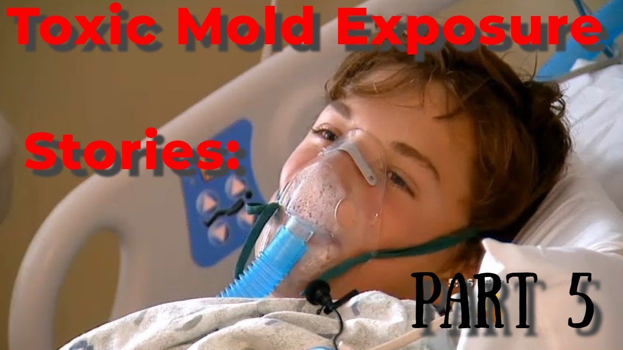 Toxic Mold Exposure Stories: In The Media PART 5 - YouTube