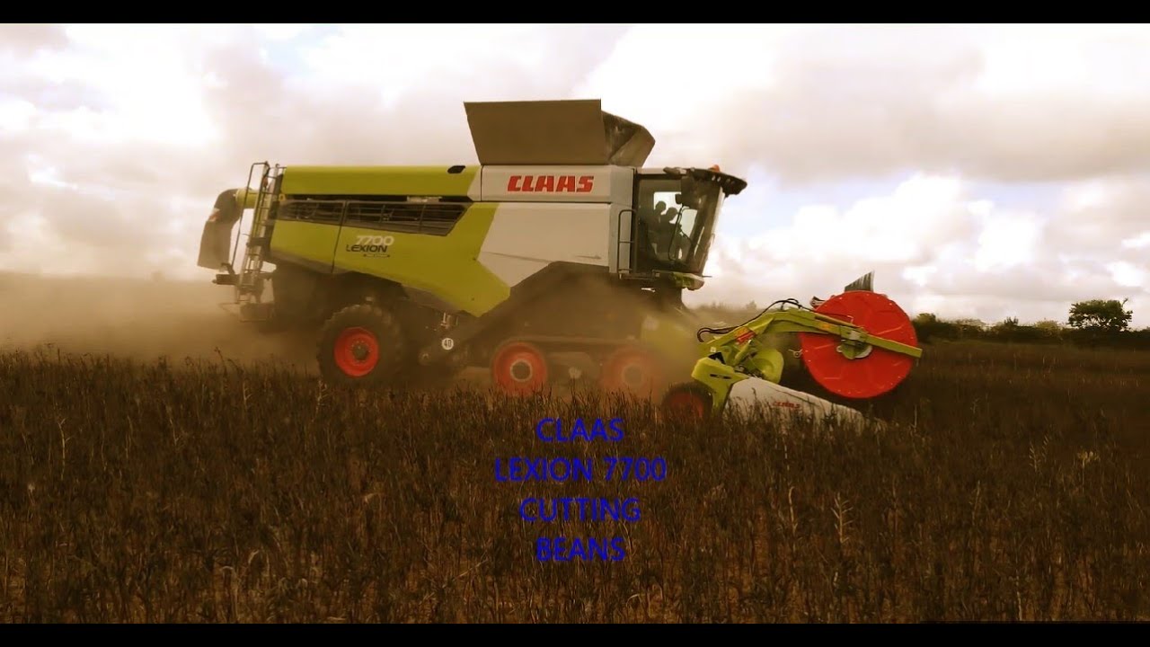 CLAAS LEXION 7700 TT HARVESTING BEANS NORTH YORKSHIRE UK - YouTube