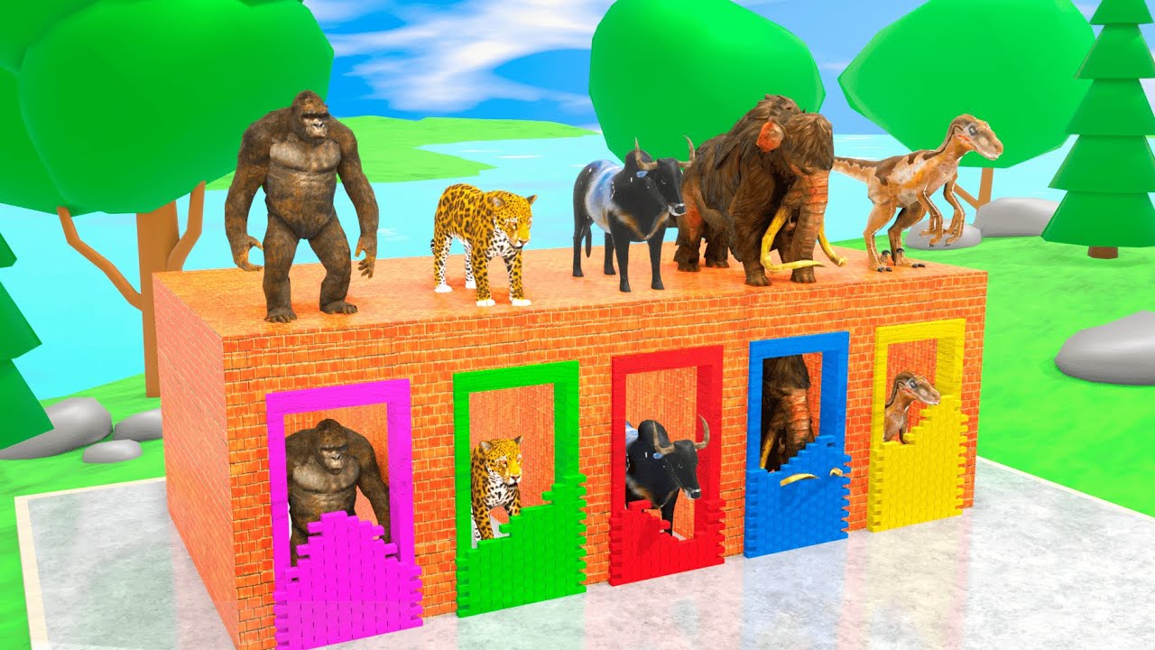Long Slide Game With Elephant Gorilla Buffalo Hippopotamus Tiger 3d ...