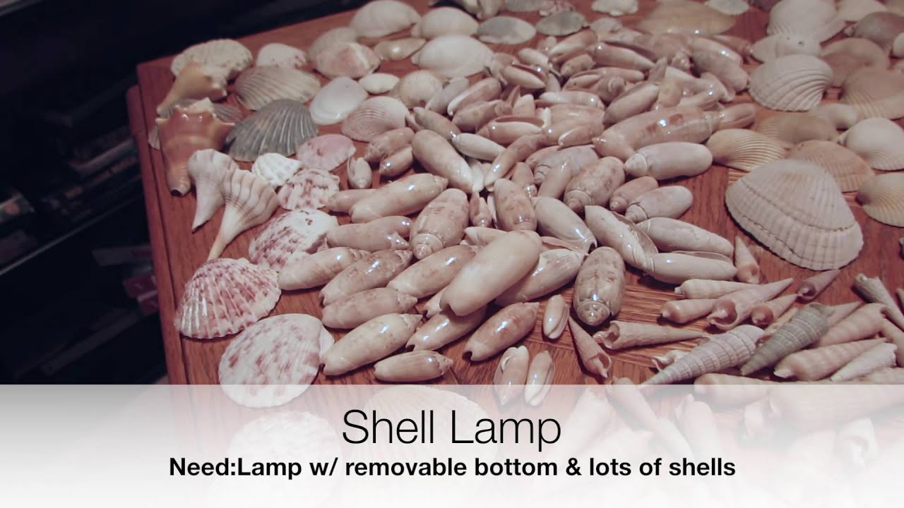 DIY SHELL LAMP - YouTube
