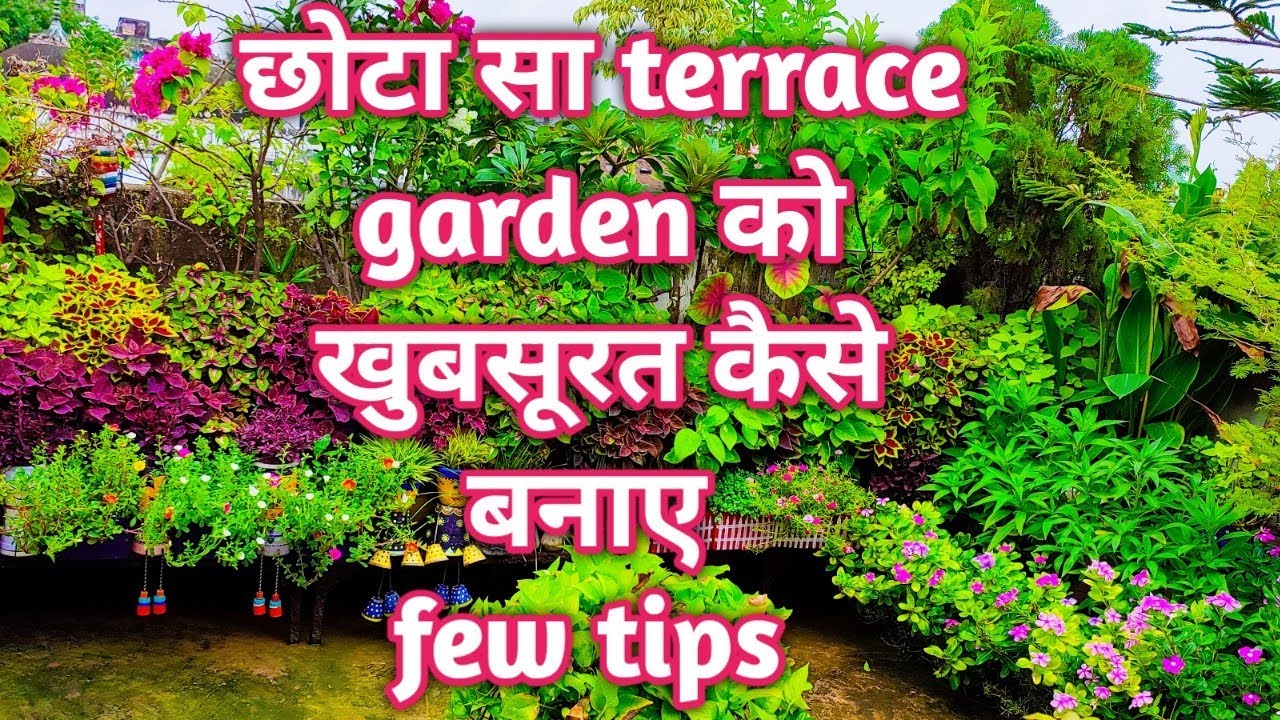 छोटे से गार्डन को कैसे खूबसूरत बना सकते है वो भी minimum पोधे के साथ ...