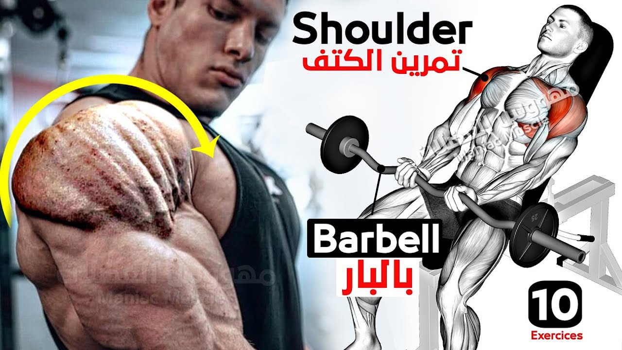10 BEST Shoulder Exercises With Barbell Only - YouTube