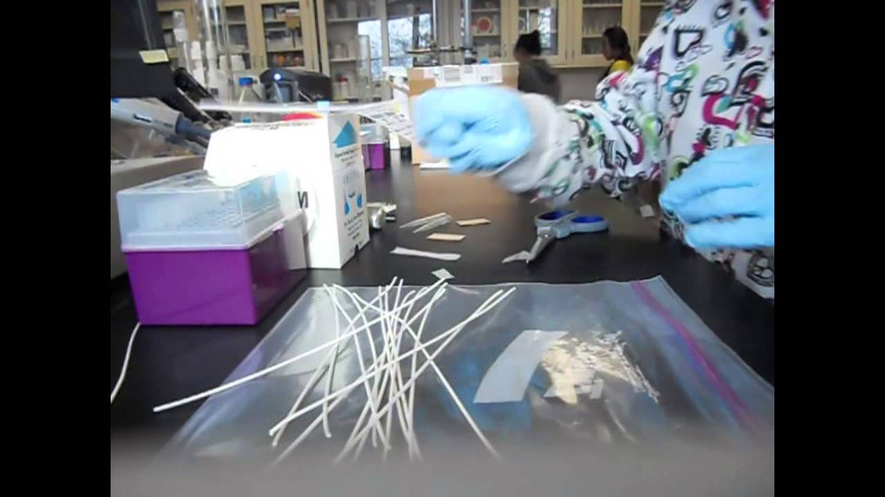 AFMBR assembly - YouTube