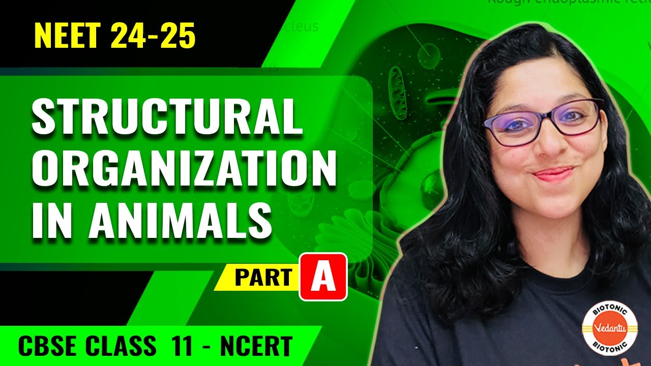 Structural Organization In Animals | Animal Tissues And Junctions ...