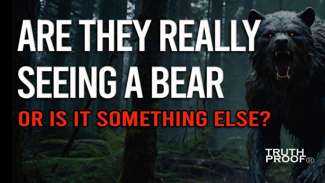 ARE THEY REALLY SEEING A BEAR OR IS IT SOMETHING ELSE? - YouTube