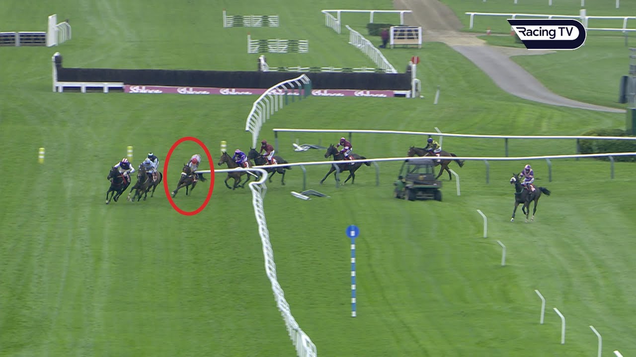 Drama in the Cross Country as SWEET DAVID scores at Cheltenham - YouTube