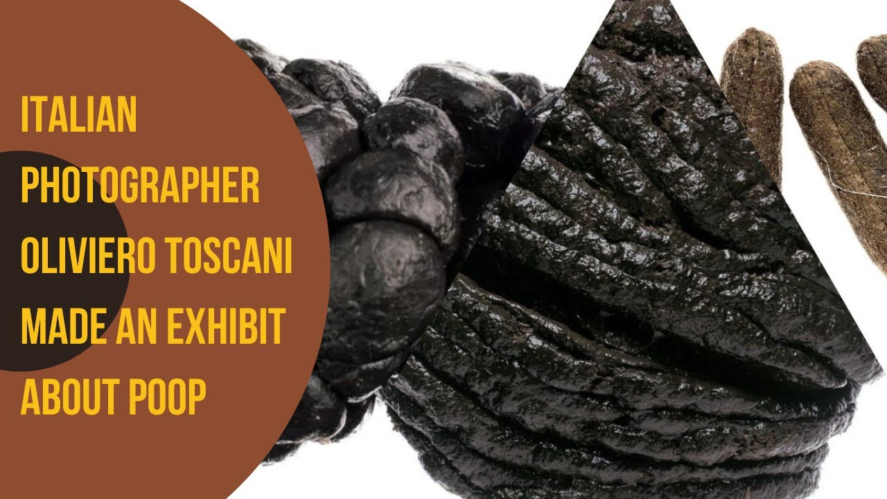 Italian photographer Oliviero Toscani made an exhibit about poop - YouTube