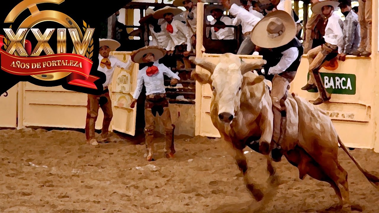 JINETES vs TOROS de REPARO - Jineteo de Toro dia 26 - Campeonato ...
