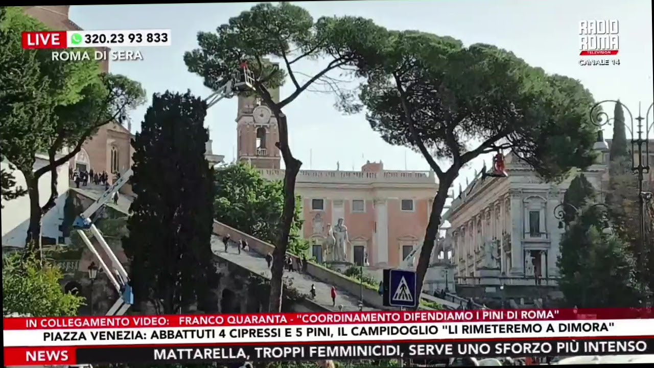 Franco Quaranta di "Difendiamo i pini..." su abbattimenti in Piazza ...