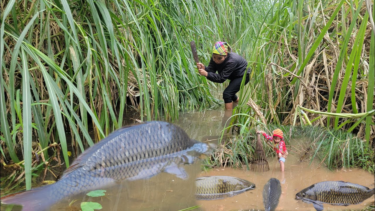 Full video:30 days encounter giant fish. Giant fishing skills. The girl ...
