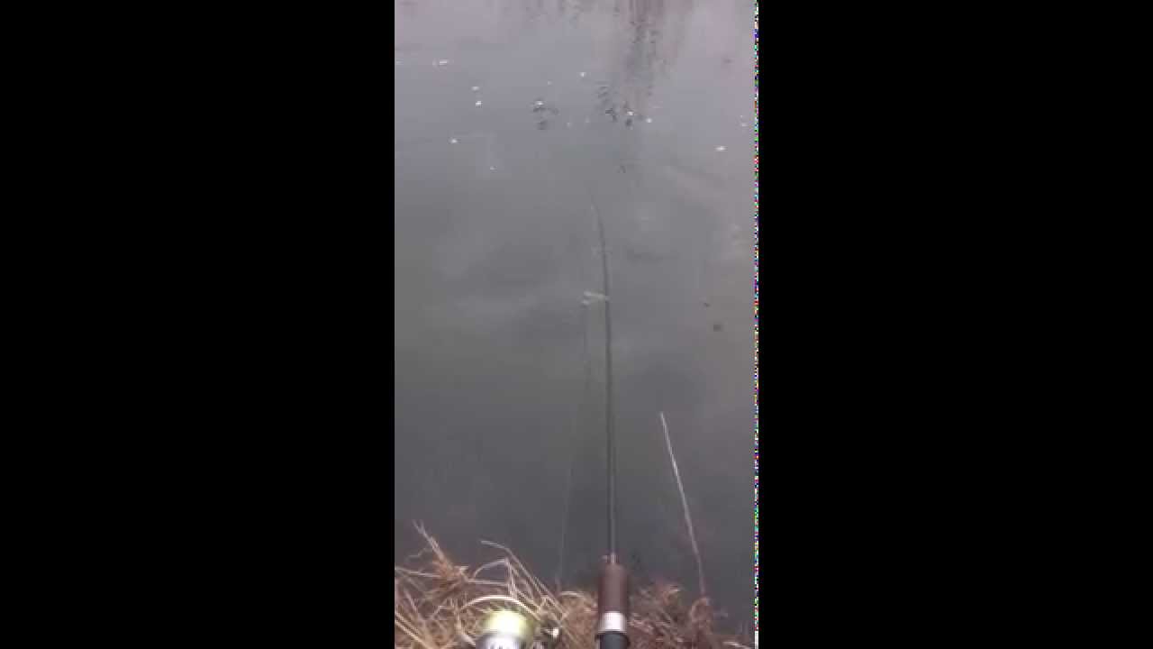 Phenix Elixir FX 902-2, obrotówka expert nr 2, waga 4g - YouTube