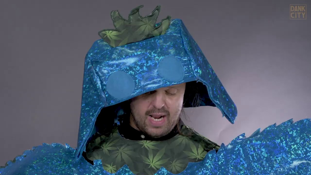 DJ MIGHTY NEED DWARFS MIDGET RAP HIP-HOP CBD GUMMIE CURED BOMB DESSERTS ...