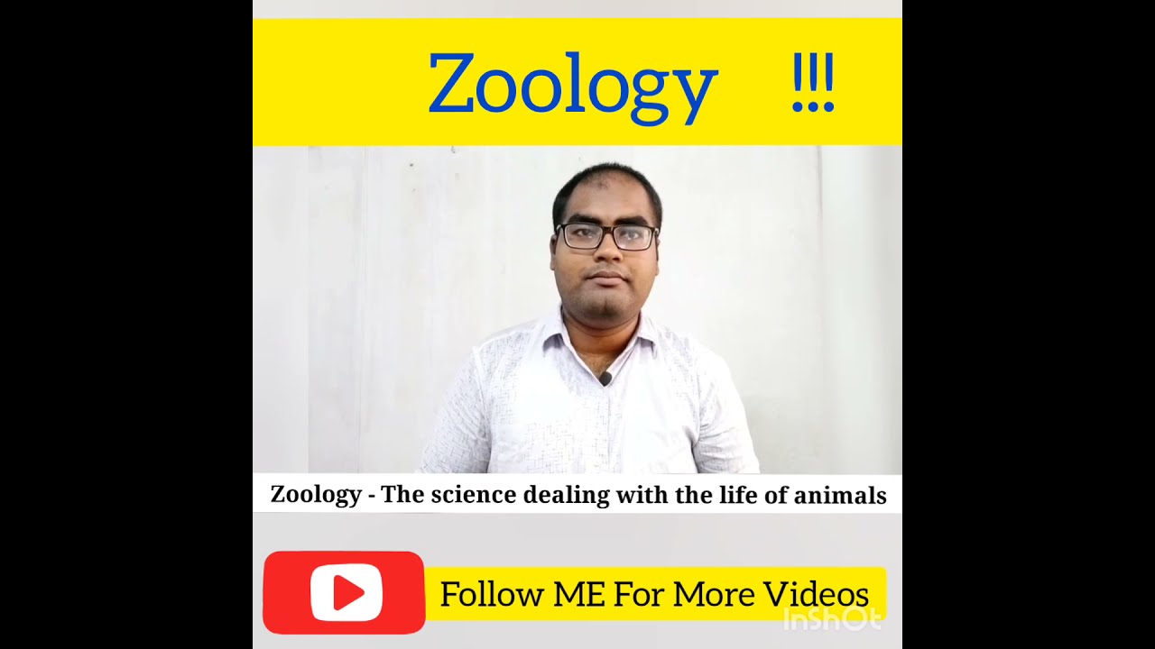 shorts Zoology Meaning In Bengali YouTube shorts Zoology Meaning In Bengali YouTube