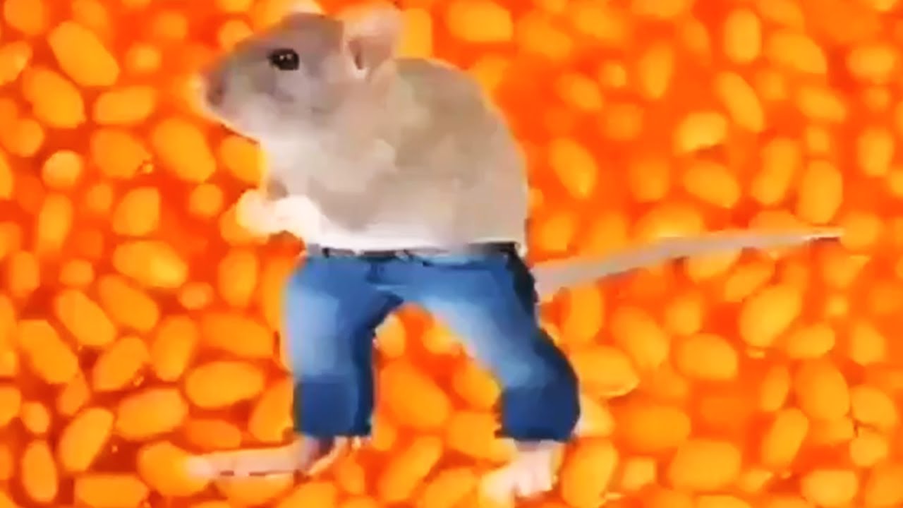 RANDOM DANK AND OFFENSIVE MEMES COMPILATION V74 - YouTube