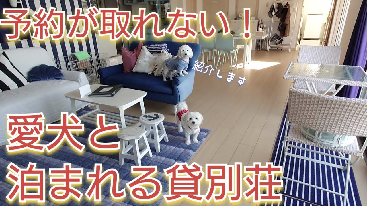 【大人気】1日1組限定のペットと泊まれる1棟貸別荘｜Sea Shell Vacation House - YouTube