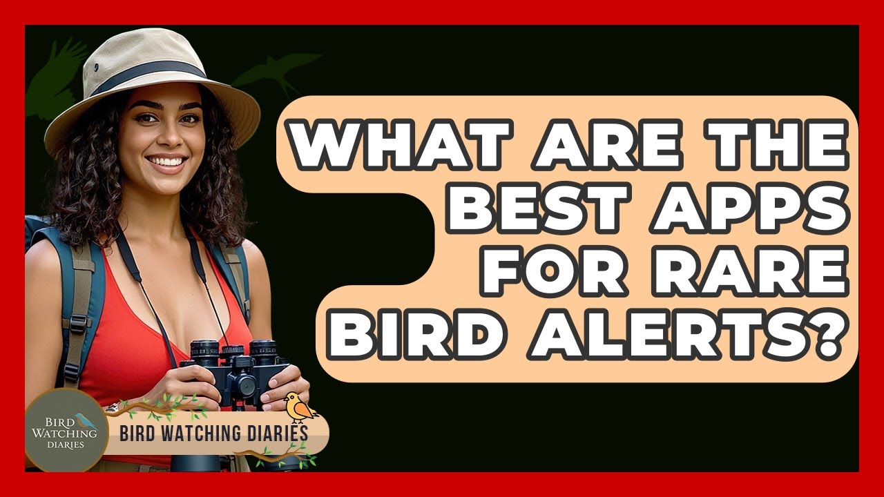 What Are The Best Apps For Rare Bird Alerts? - Bird Watching Diaries ...