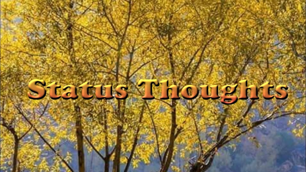 Motivational thoughts | Status Thoughts | Inspirational Quotes | # ...