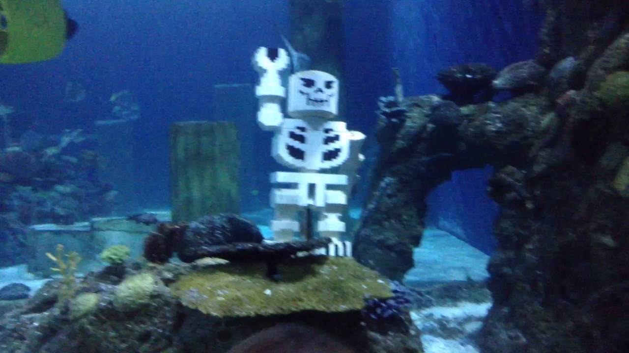 Lego Aquarium (Shark Tank) - YouTube