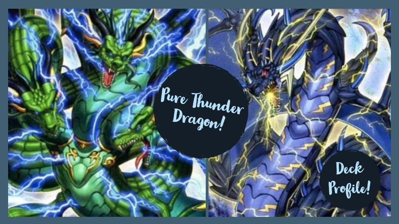 *UPDATED* Pure Thunder Dragon Deck Profile!! Beats the Meta!! - YouTube