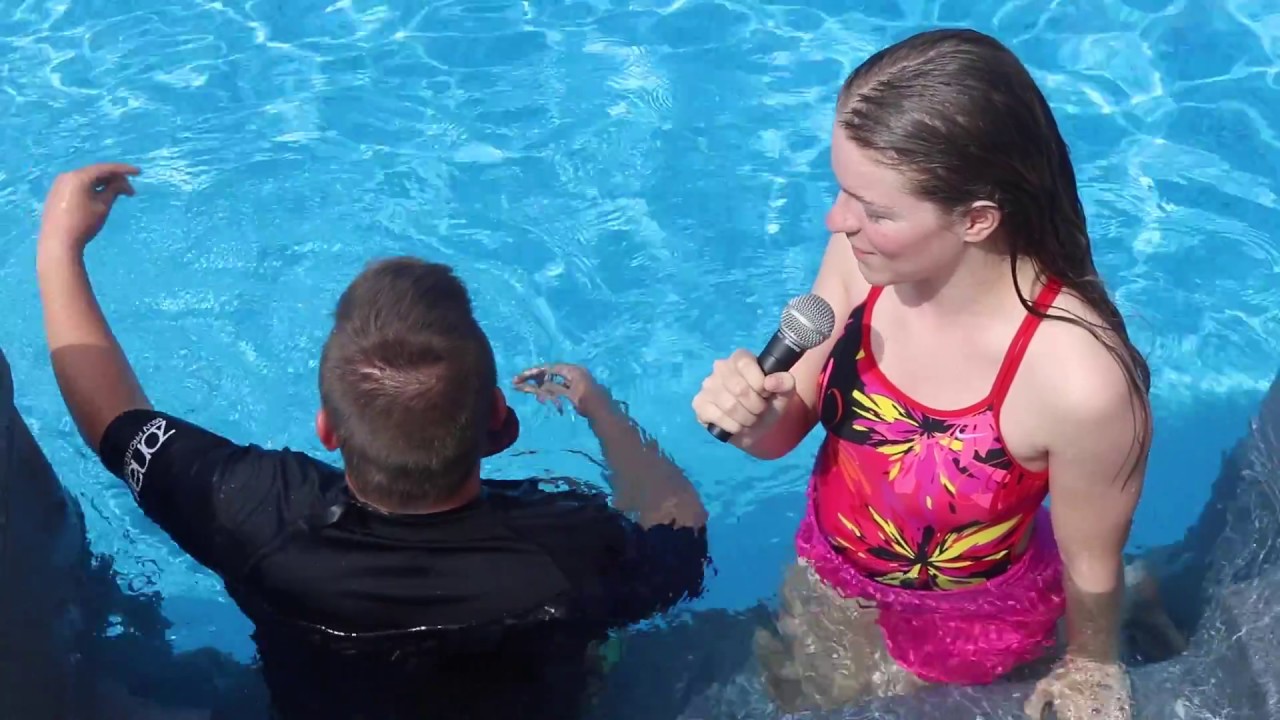 Free Willy News Report! - YouTube