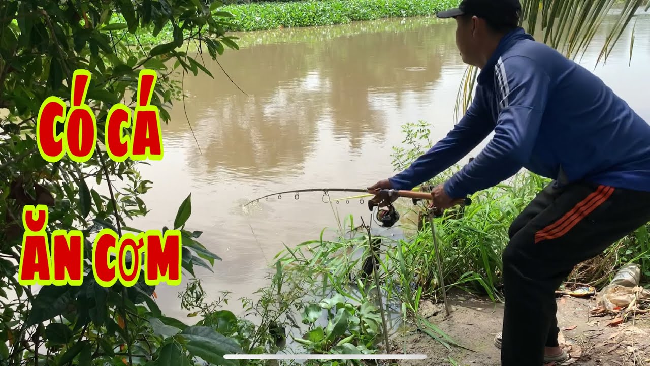 Câu Cá Tra Sông - Về Chỗ Này Câu Hên Là Dính Cá | Fishing - Miền Tây ...