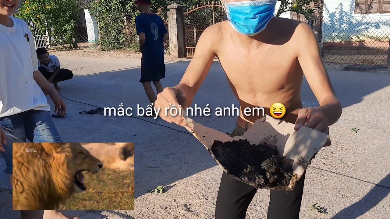 TLD - Troll Toàn Gà Dậm Shit - YouTube