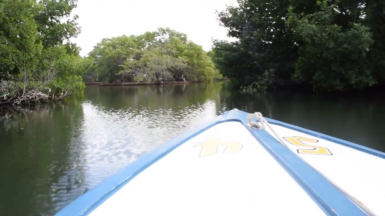 Laguna de la Restinga national park - YouTube