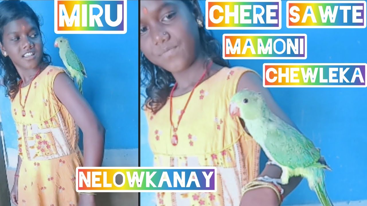Miru (Tiya/Totai/Parrot Bird) Chere 🐦 Shawte Mamoni Do Chewlekay ...