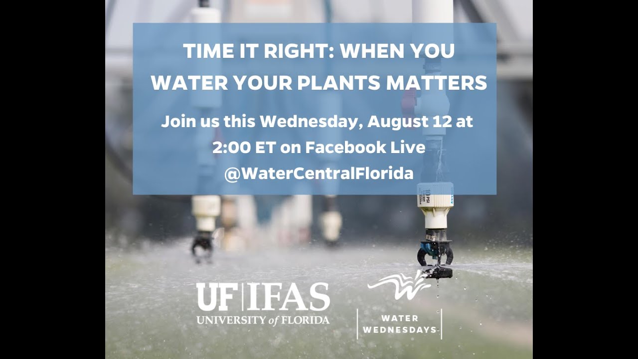 Water Wednesday - Time it Right - YouTube