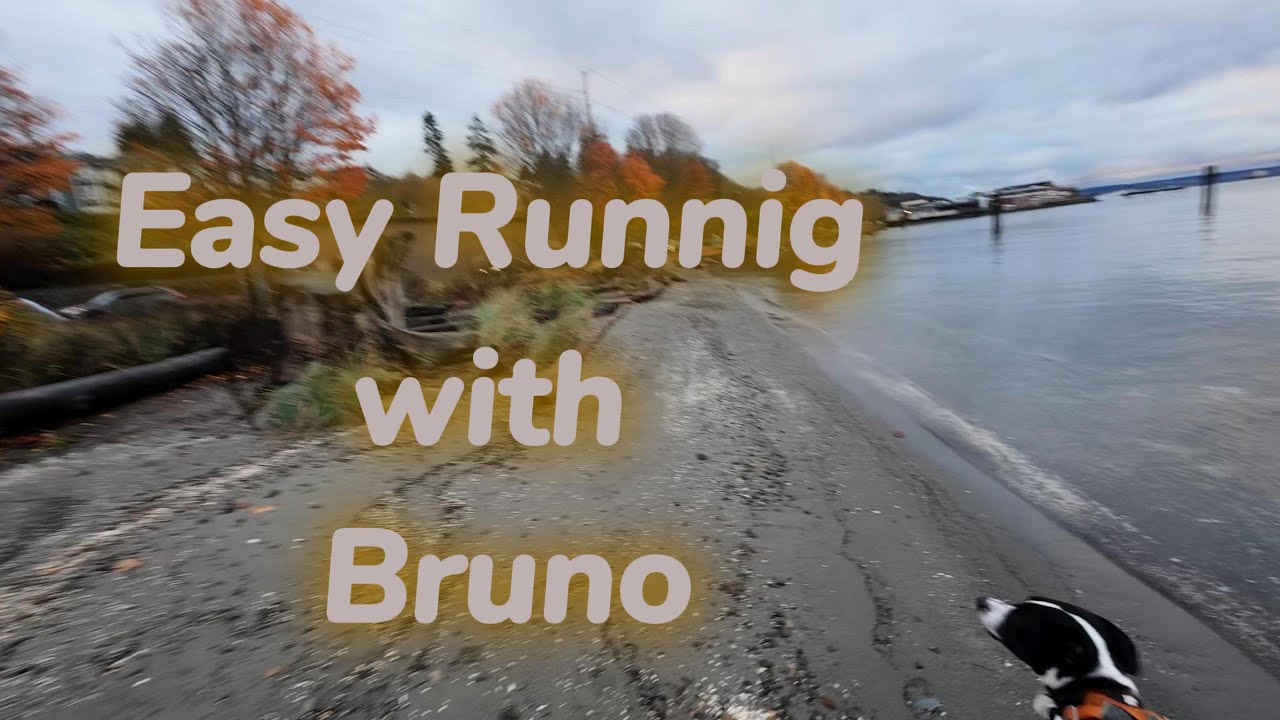 Easy Running with Bruno -- Cool November Run in Tacoma: Lofi Vibes with ...