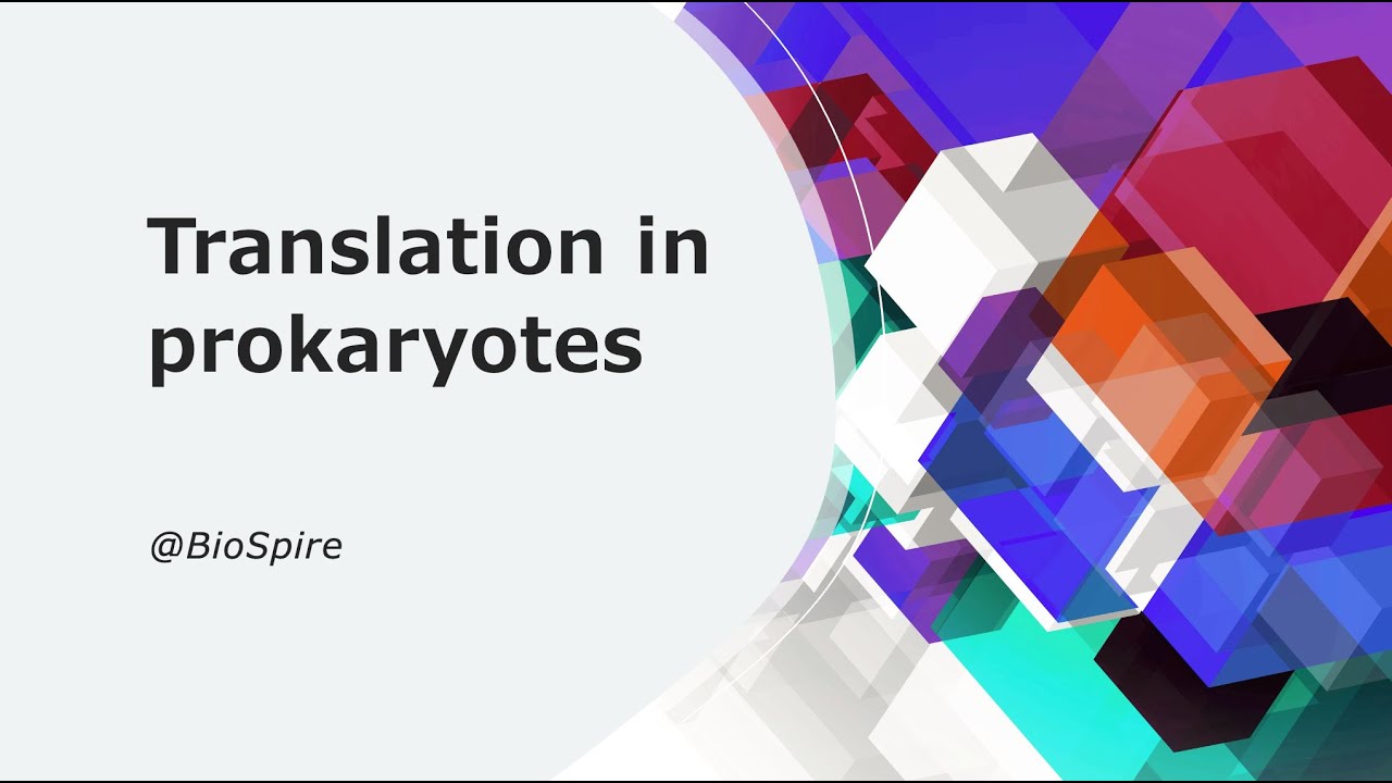 Genetics | Translation in prokaryotes | Synthesis of protein | CSIR UGC ...