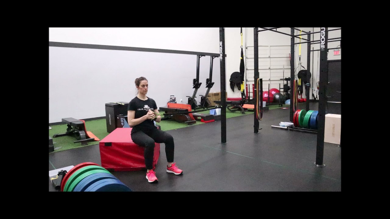 122 Core Training - Seated Anti-Rotation Press with Resistance Band ...