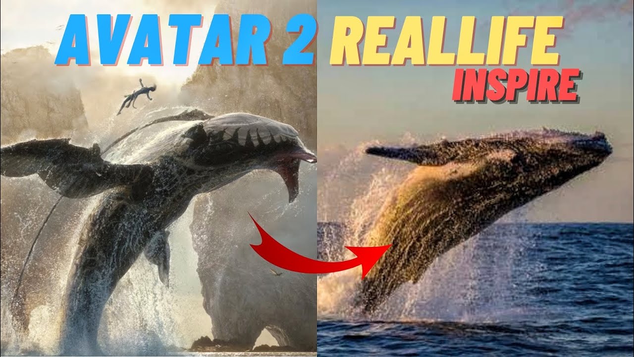 Avatar 2 reallife inspire | james cameron make real world in avatar 2 # ...