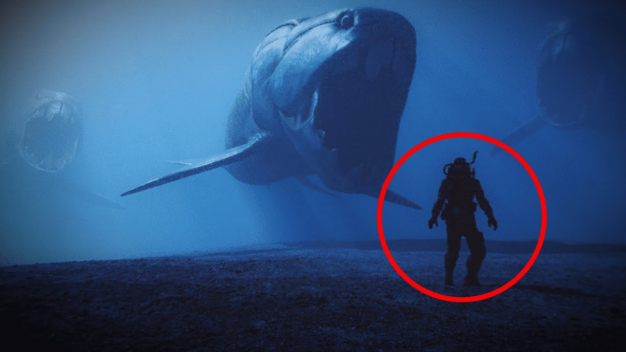 Los ANIMALES MARINOS más ATERRADORES del mundo - YouTube
