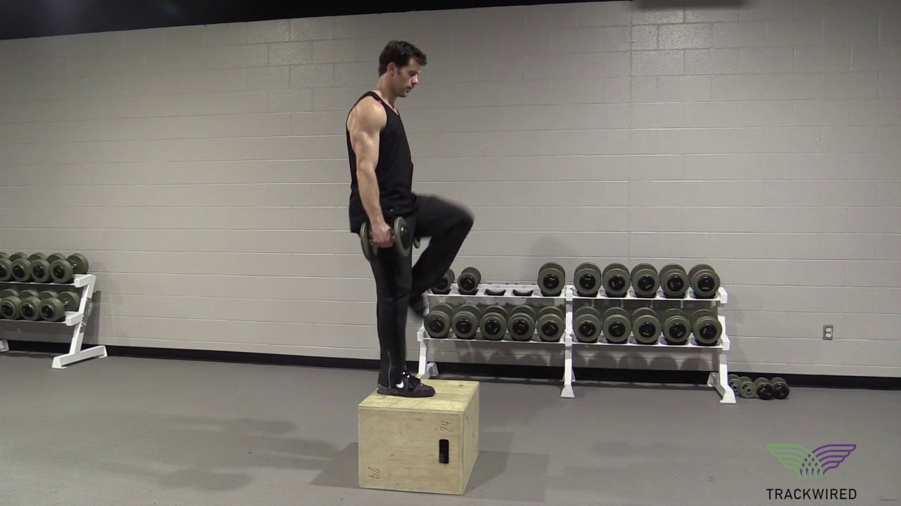 WEIGHT LIFTING - Dumbell Step up - YouTube