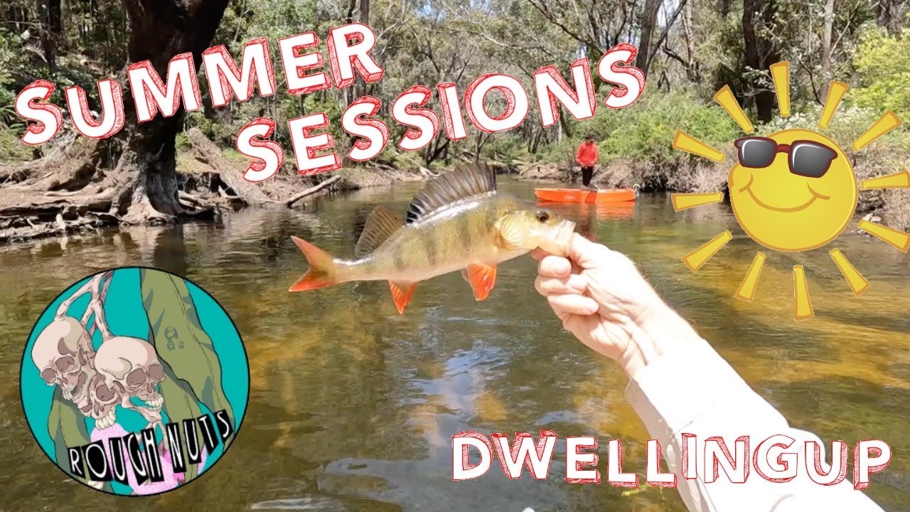 SUMMER FISHING for TROUT and REDFIN at Dwellingup | ROUGH NUTS - YouTube