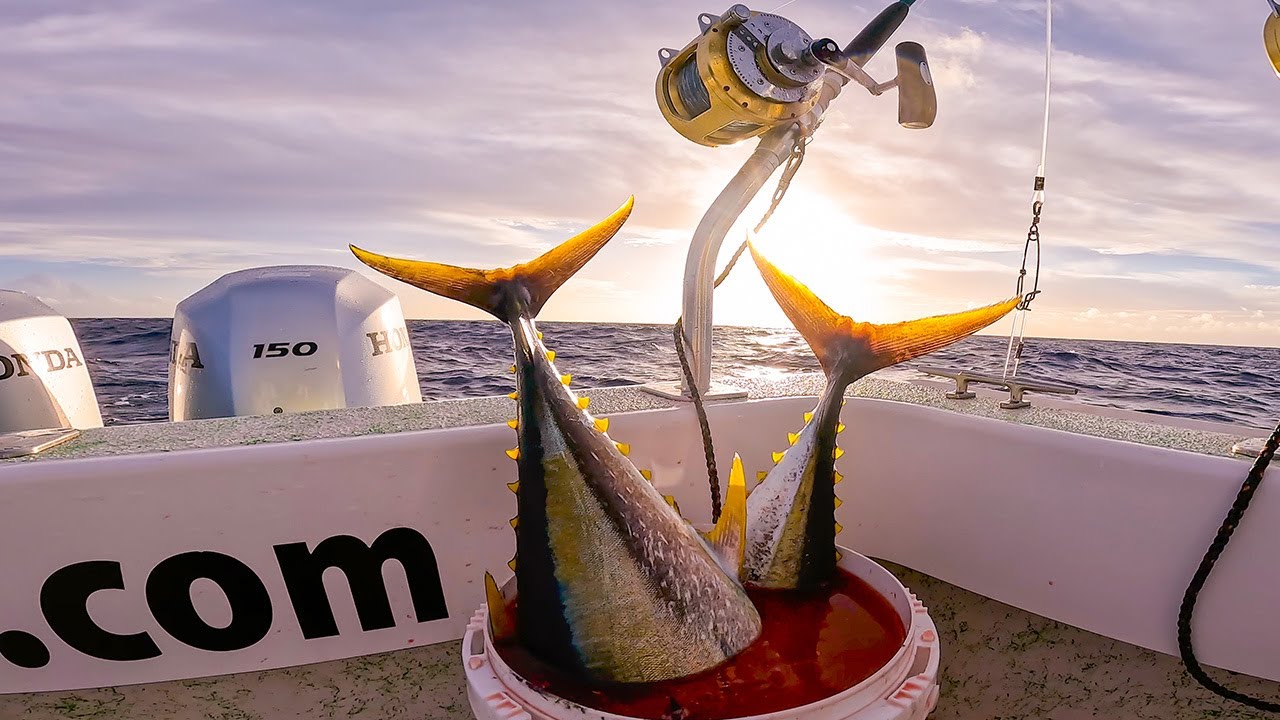 Greenstick Fishing for Tuna in Hawaii! - YouTube