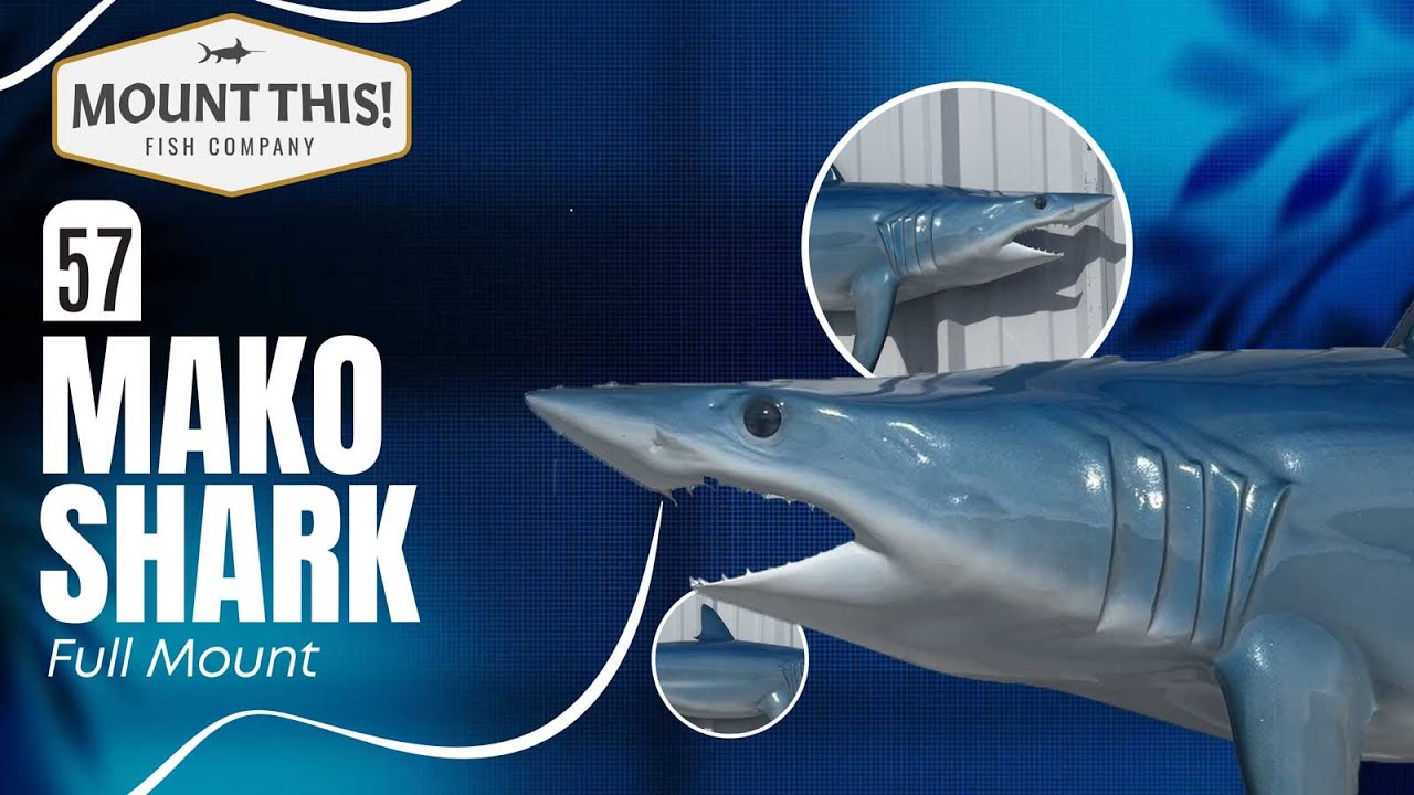 57" Mako Shark Half Mount – Official Product Video - YouTube