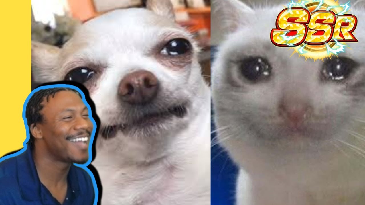 What Experts Don't Want You to Know About SSR Tier Memes - YouTube