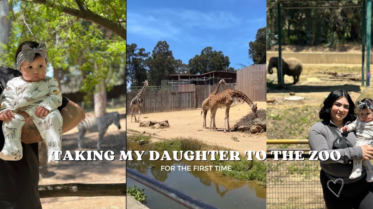 TBT Zoo Vlog! - YouTube