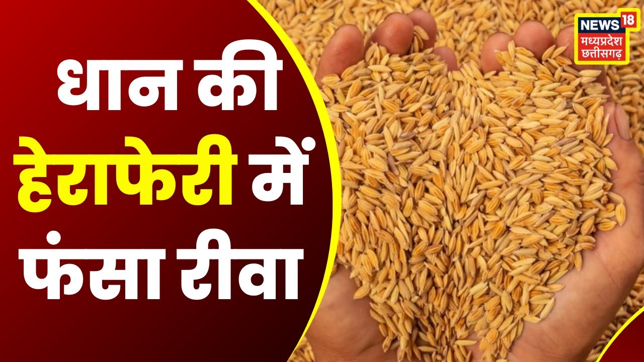 Rewa Raid News : धान खरीदी से पहले प्रशासन की बड़ी कार्रवाई, छापेमारी के दौरान 540 बोरी Paddy ...