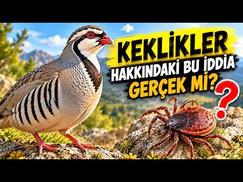 Keklikler Hakkındaki Bu İddia Gerçek mi?
