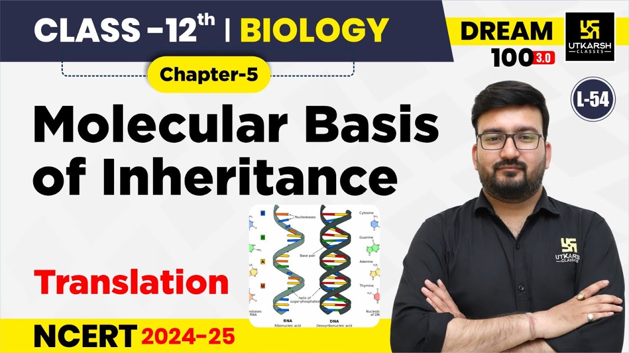 Class 12 Biology Chapter 5 | Molecular Basis of Inheritance ...