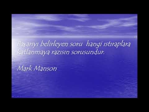 4-YETENEK,DEHA,ŞÖHRET, BAŞARI ve BAŞARISIZLIK ile ilgili ÖZLÜ SÖZLER
