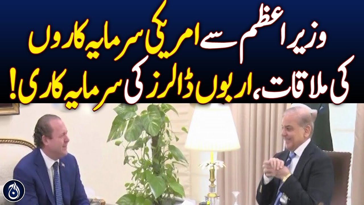 PM Shahbaz Sharif meets delegation of American investors - Aaj News ...