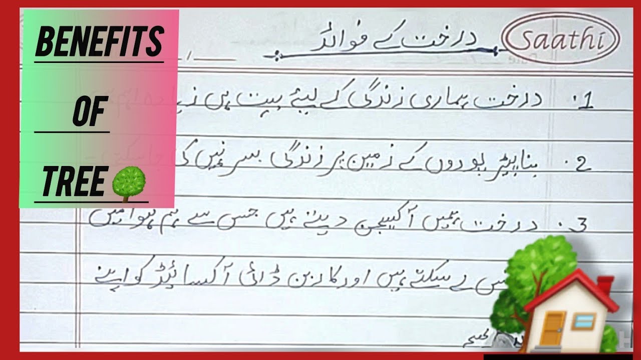 Essay on importance of tree in urdu 🌳🌴/ ten lines on benefits of tree # ...